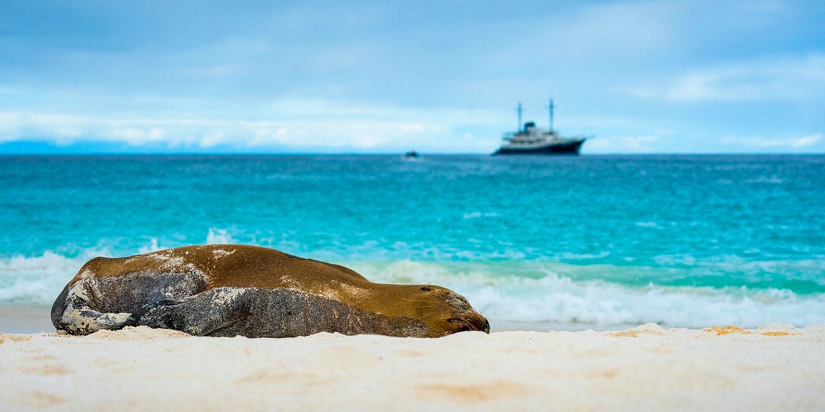Quasarex Review: Quasar Expeditions In The Galapagos | TravelAge West