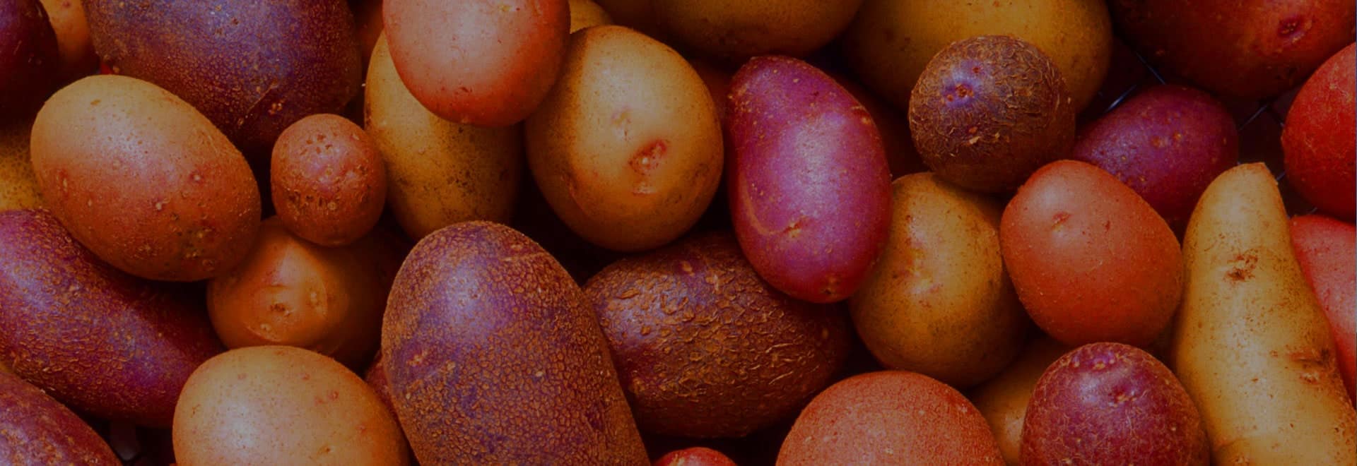 6 Must-Try Peruvian Foods When Visiting Peru South America
