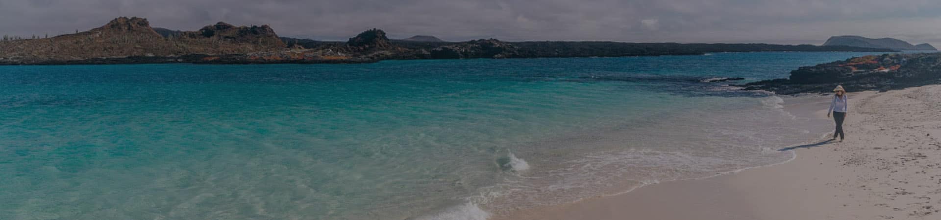 Galapagos Cruise Reviews - Quasar Expeditions