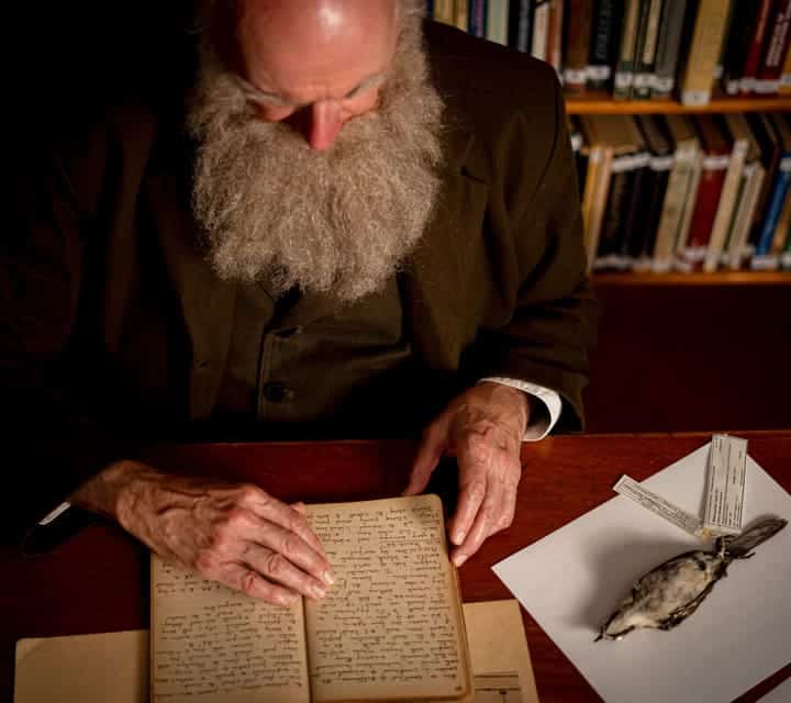 Galapagos Finches - Hidden Truth Told by Charles Darwin