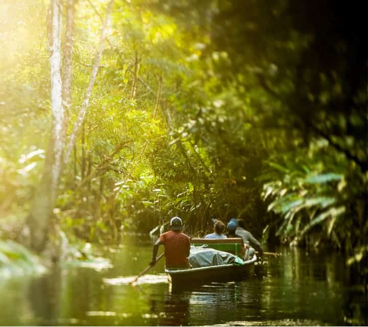 Award-Winning Galapagos Cruises & Patagonia Tours with Quasar
