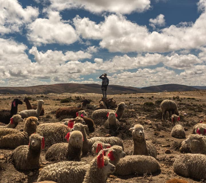 What Is The Best Month & Time To Travel To Peru?