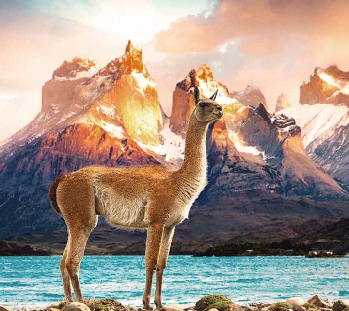 Photographing Inside the Torres del Paine National Park